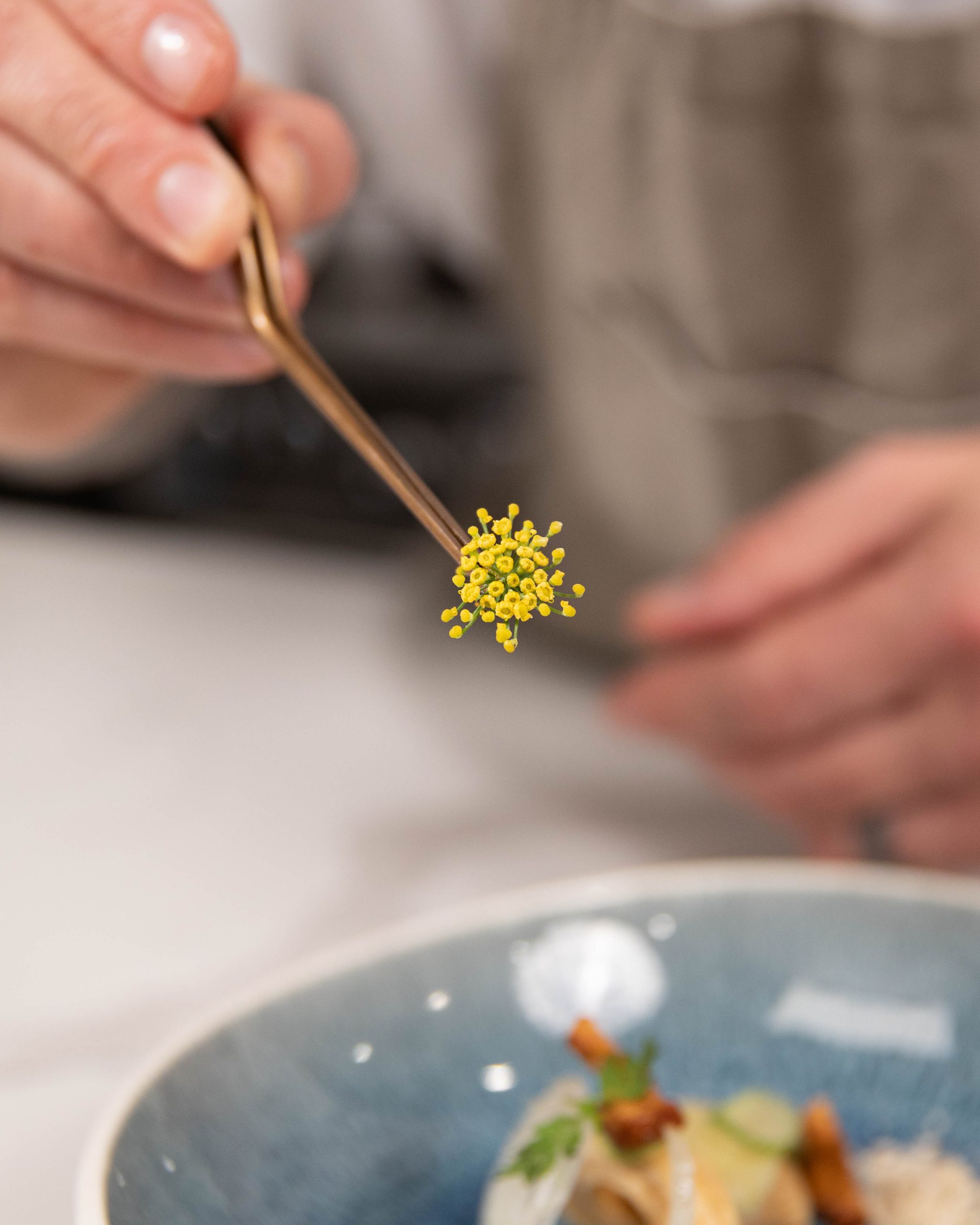 COURSE Prix Fixe Multi Course Dining